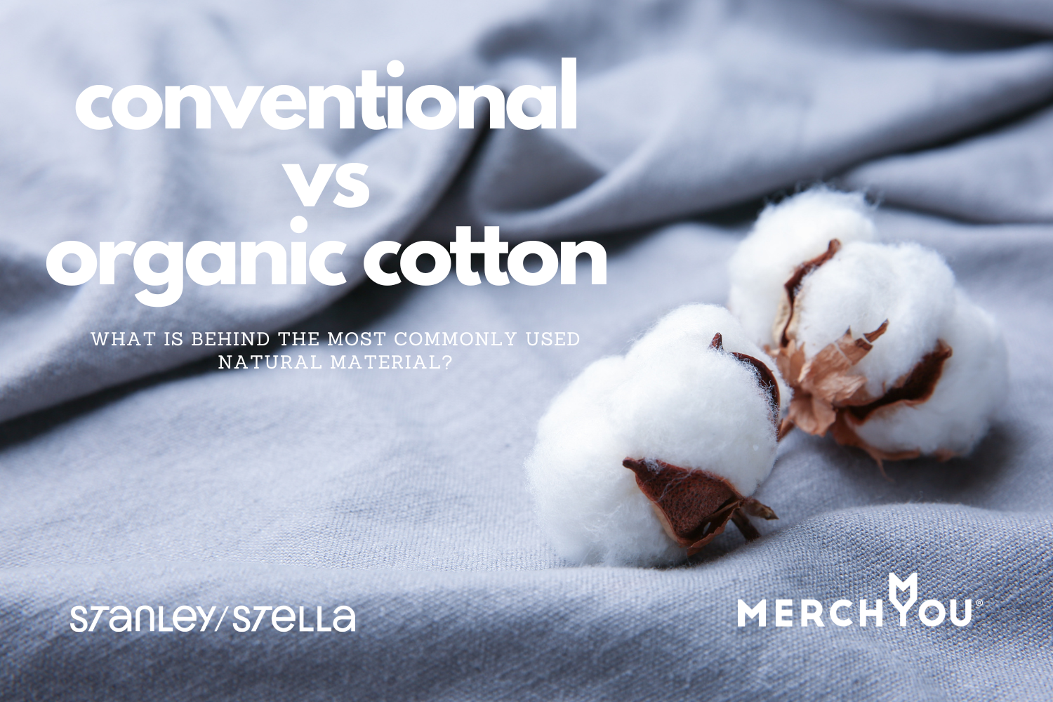 Conventional vs organic cotton | merchyou.com